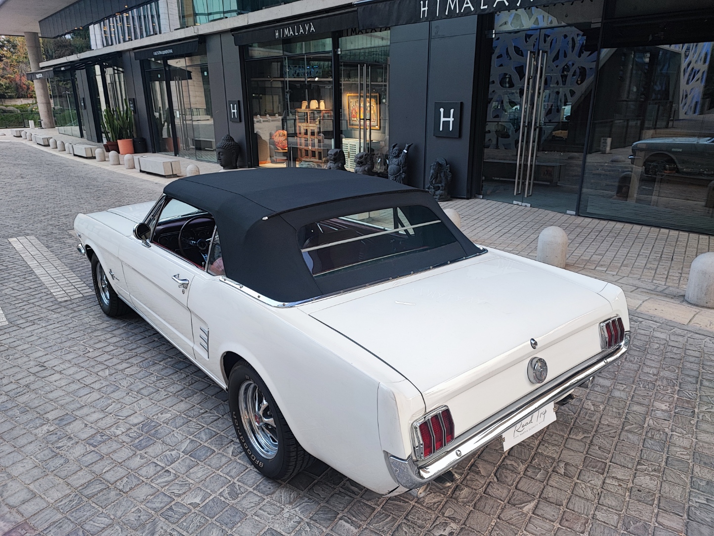 Ford Mustang convertible - Road Trip