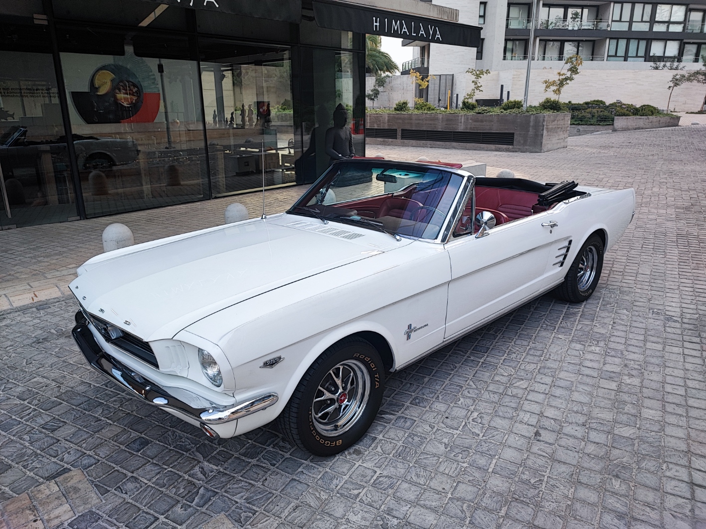 Ford Mustang convertible - Road Trip